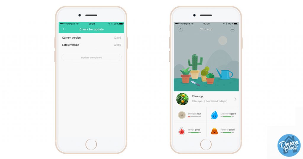 Test du Xiaomi Mi flore le capteur connecté pour le jardin